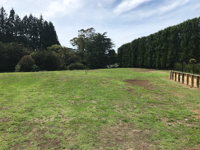Land/Sections For Sale in Katikati, Western Bay of Plenty, Bay Of ...