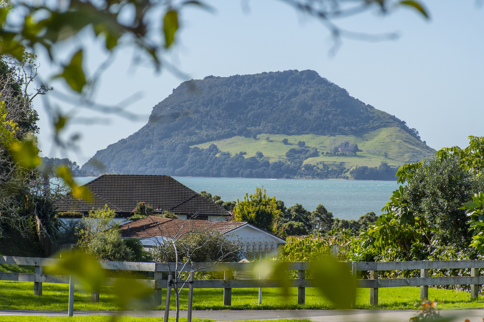 House For Sale in Matua, Tauranga, Bay Of Plenty | For Bay Of Plenty ...