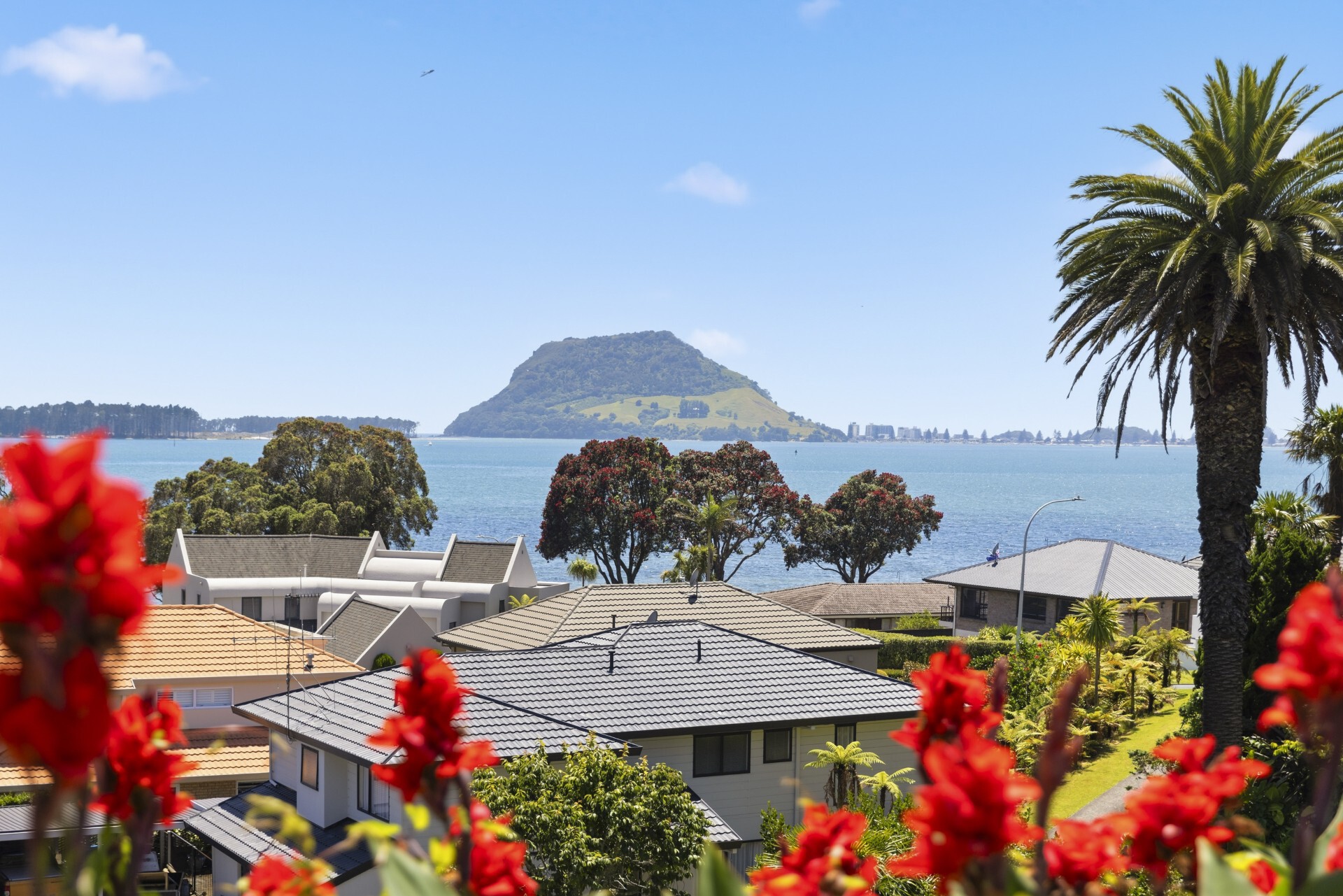 Land/Sections For Sale in Matua, Tauranga, Bay Of Plenty | For Bay Of ...