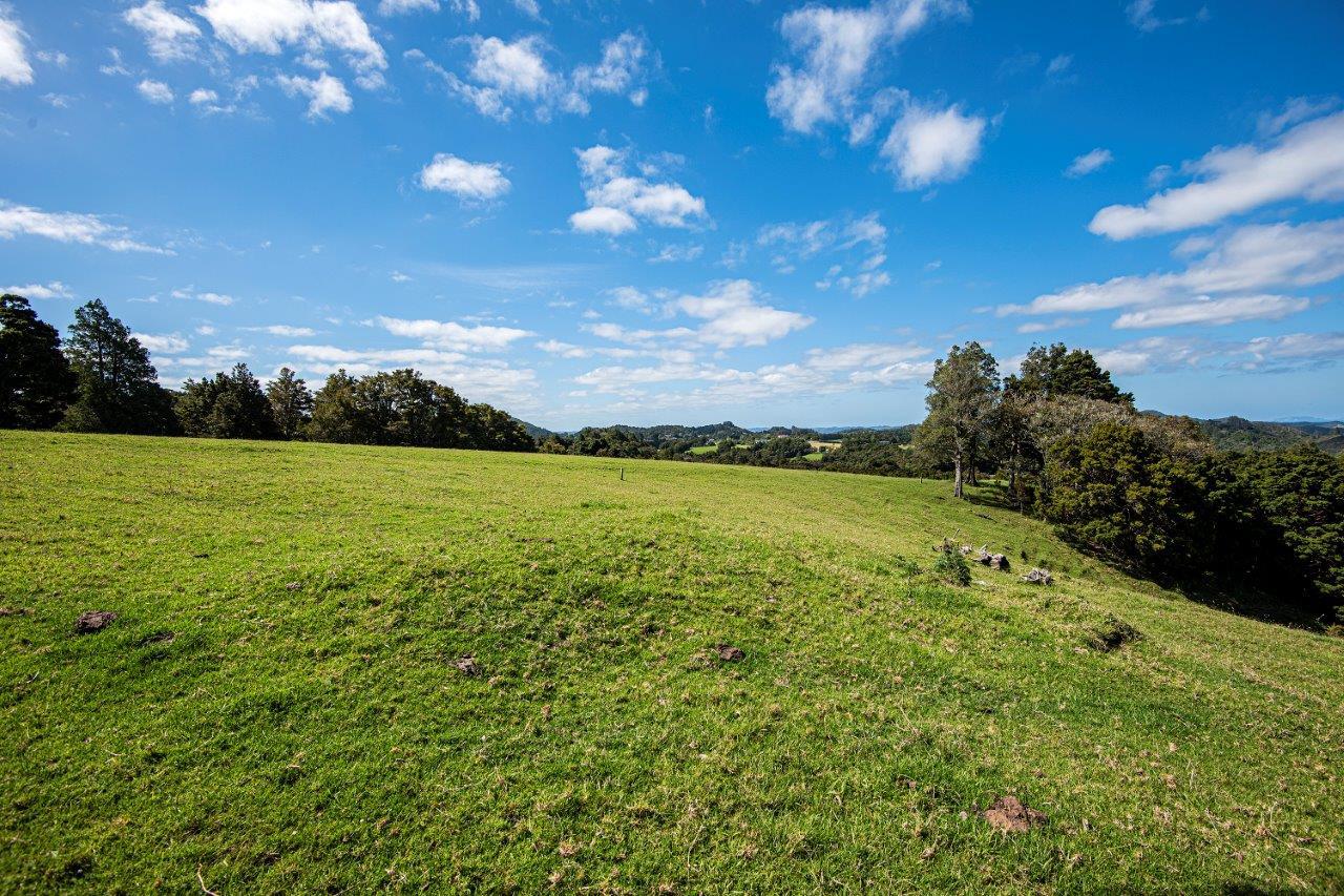 Land/Sections For Sale in Parua Bay, Whangarei, Northland | For ...
